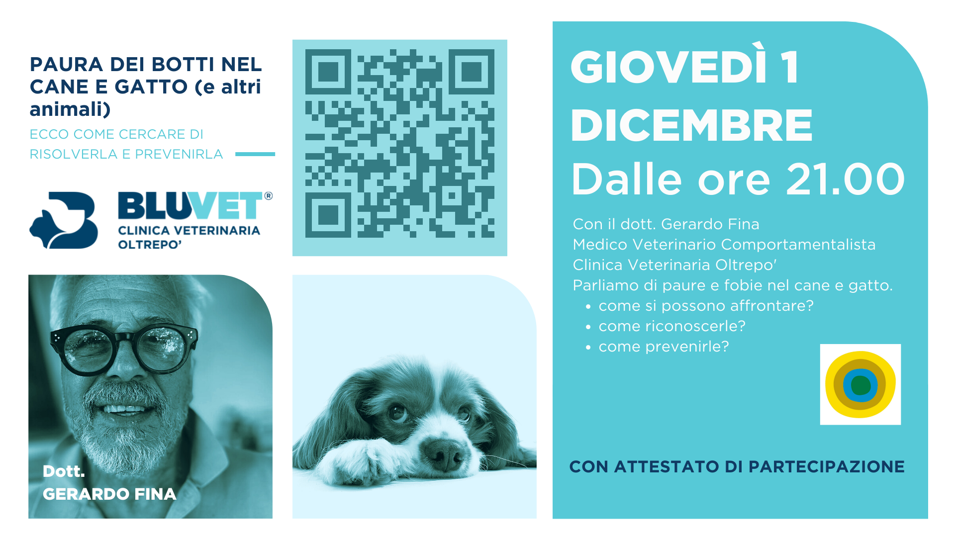 Paura dei botti e altre fobie nel cane, gatto | Ca'Zampa BluVet