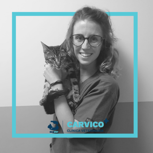 Francesca Colombo – Ca'Zampa BluVet